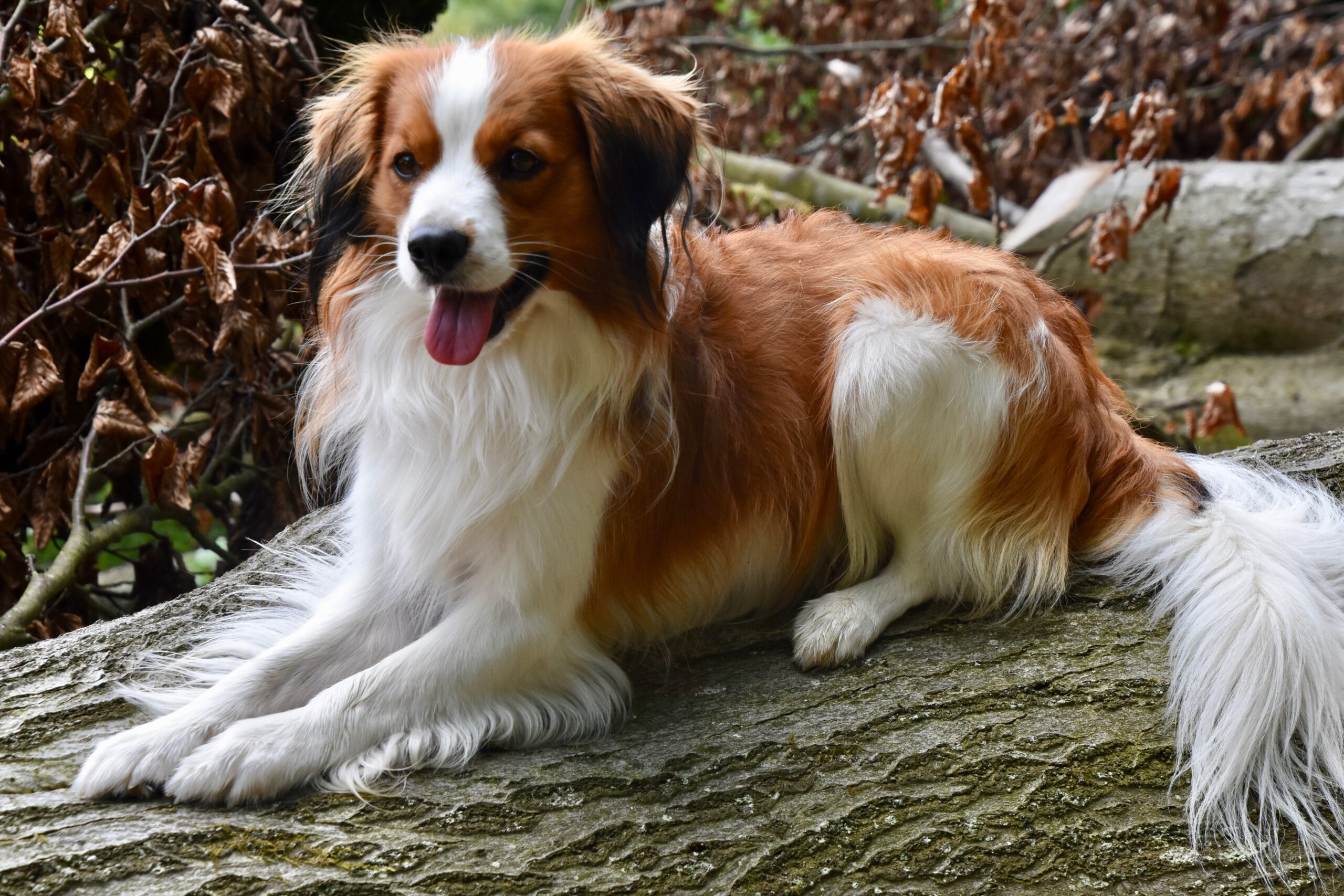 Rund um die Praxis | Dr. Peter Neu